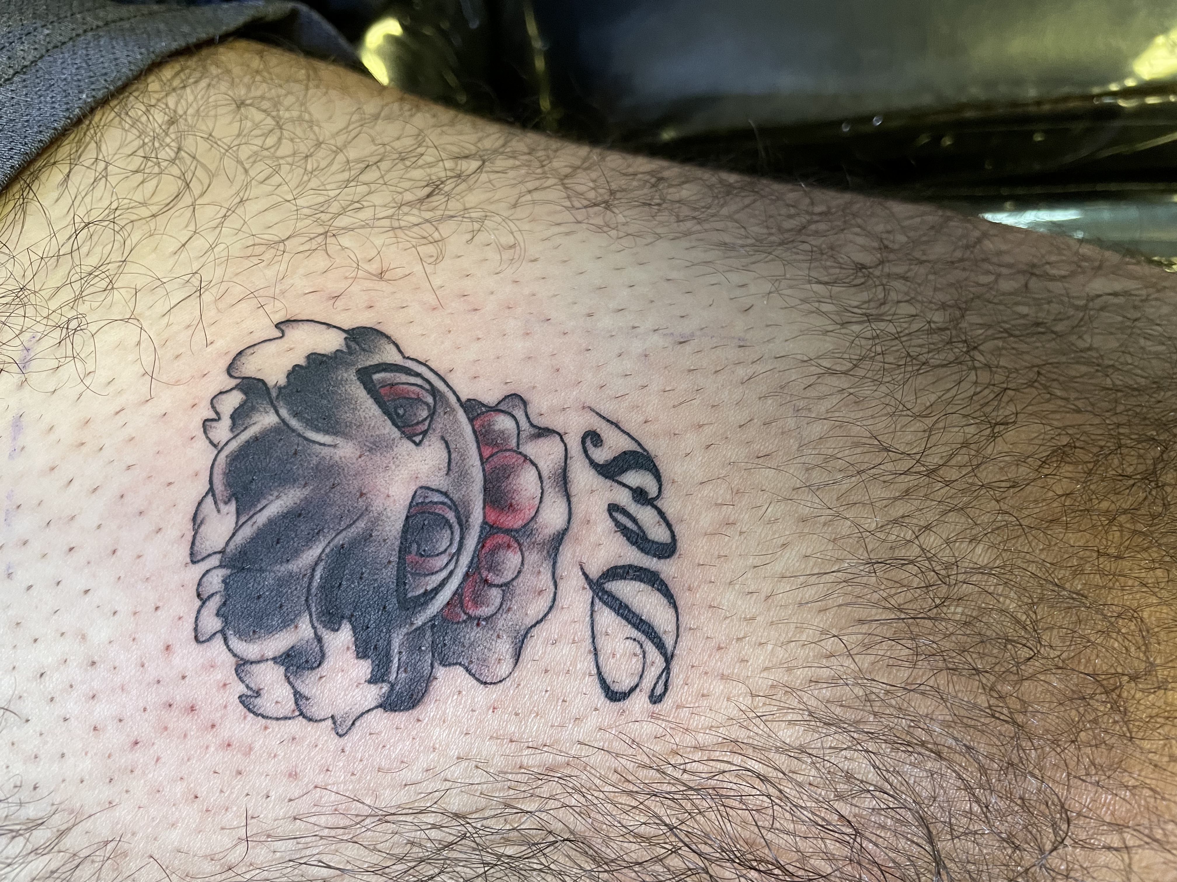 Lyfestyle Tattoos | Tampa's Premier Tattoo Studio